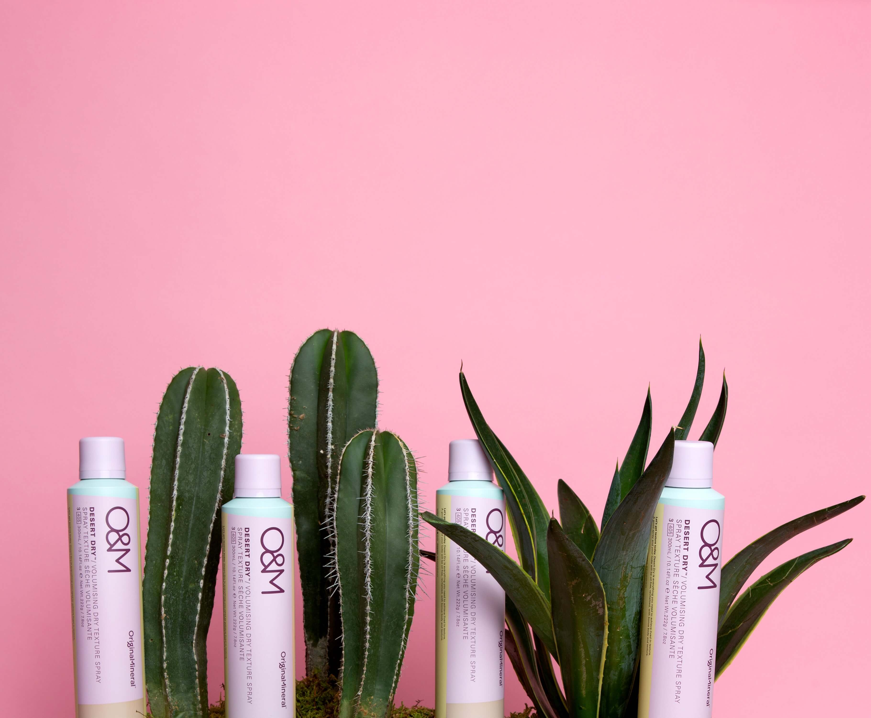 O&M Salon Starter Packages: Clean Hair Care, Hair Color & Styling ...