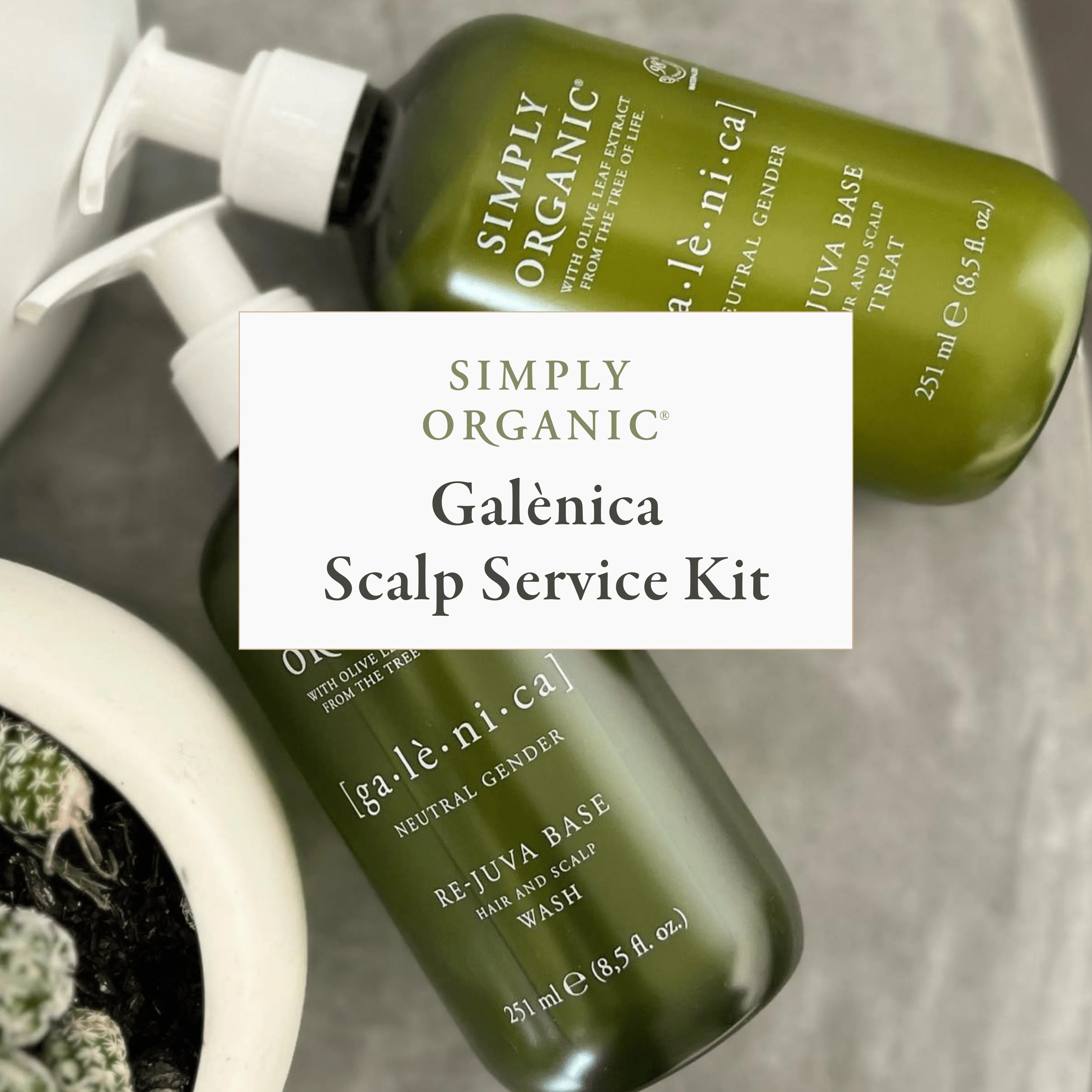Simply Organic | Galènica In-Salon Scalp Service Kit – Simply Organic ...